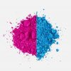 Gender Reveal Powder – Color Powder Supply Co. Bulk, All-Natural Holi ...