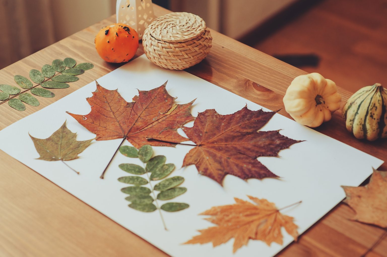 Color Powder Crafts For Fall | Color Powder Supply Co