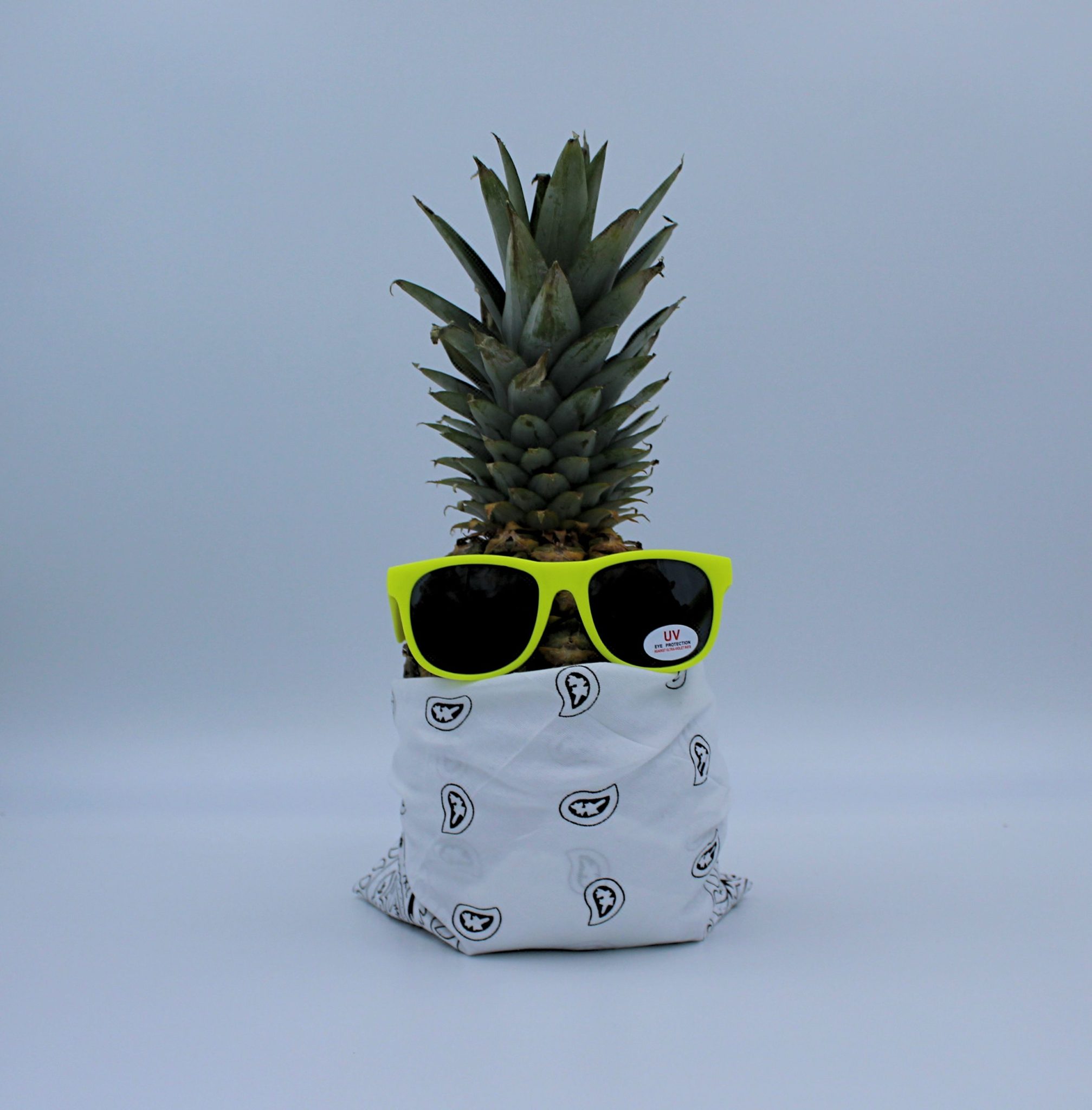 Must-Have Color Run Accessories | Color Powder Supply Co